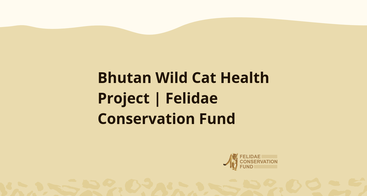 Bhutan Wild Cat Health Project | Felidae Conservation Fund
