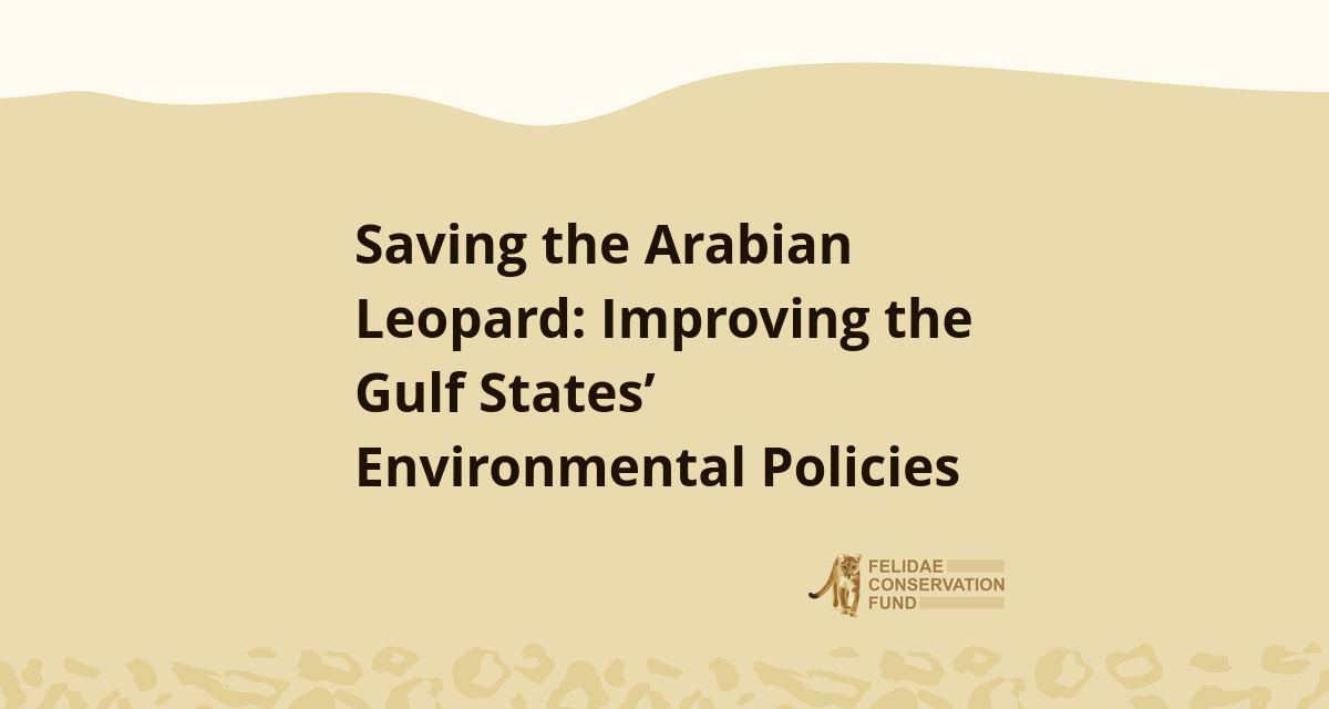 Saving the Arabian Leopard: Improving the Gulf States’ Environmental ...