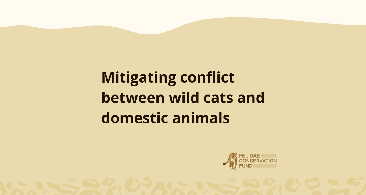 Mitigating conflict between wild cats and domestic animals | Felidae ...