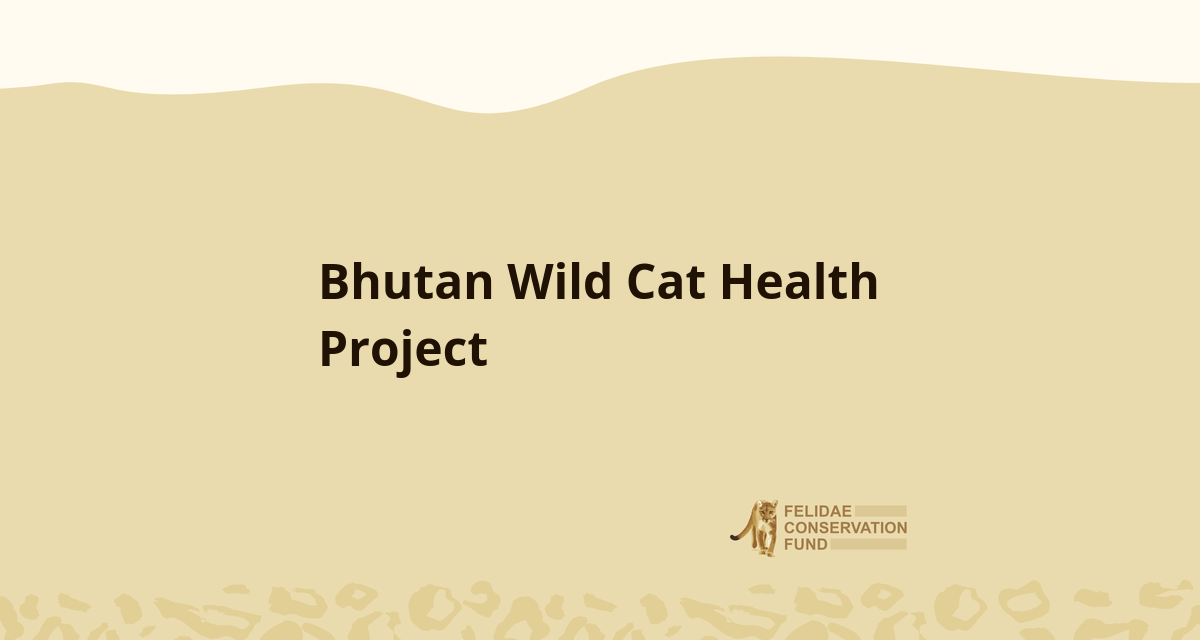 Bhutan Wild Cat Health Project | Felidae Conservation Fund